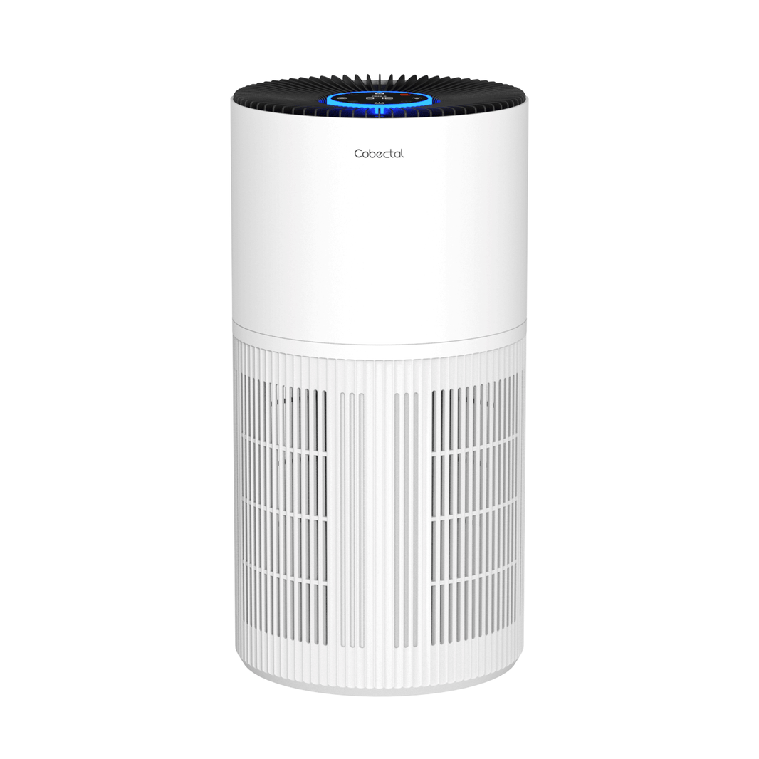 Buy High-Quality Air Purifiers | Cobectal USA Air Purifier Factory